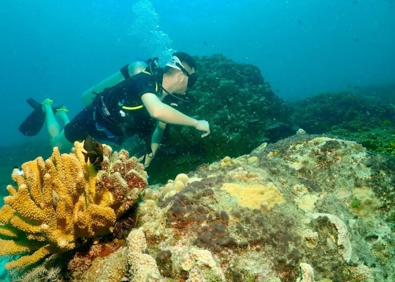 Phuket: Try SCUBA DIVING Full Day Experience 2 Dives - FAQ