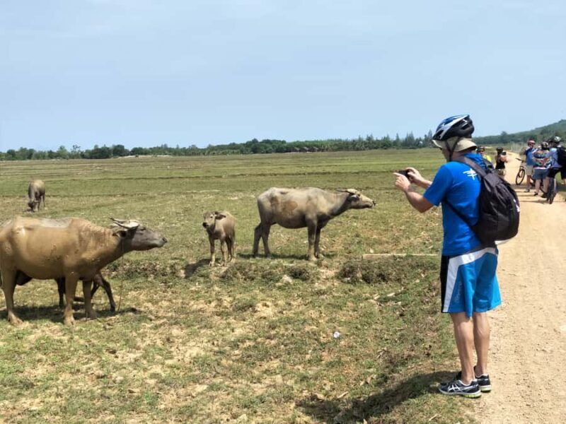 Phuket: Yao Island Cycling and Beach Day-Trip - Authentic Experiences and Highlights from Travelers