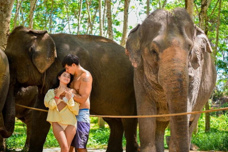 Phuket:Beach walk with elephants, rain & care. 2.5 hours - Who Should Consider This Experience?