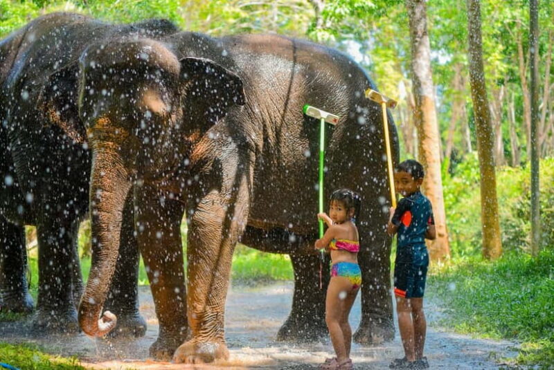 Phuket:Beach walk with elephants, rain & care. 2.5 hours - Practical Tips for Travelers