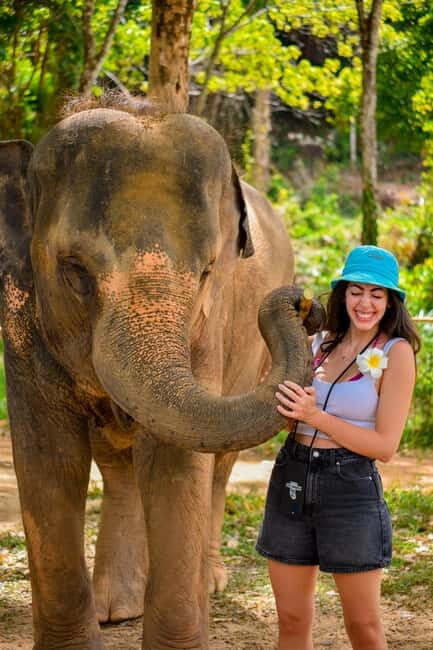 Phuket:Beach walk with elephants, rain & care. 2.5 hours - Final Thoughts