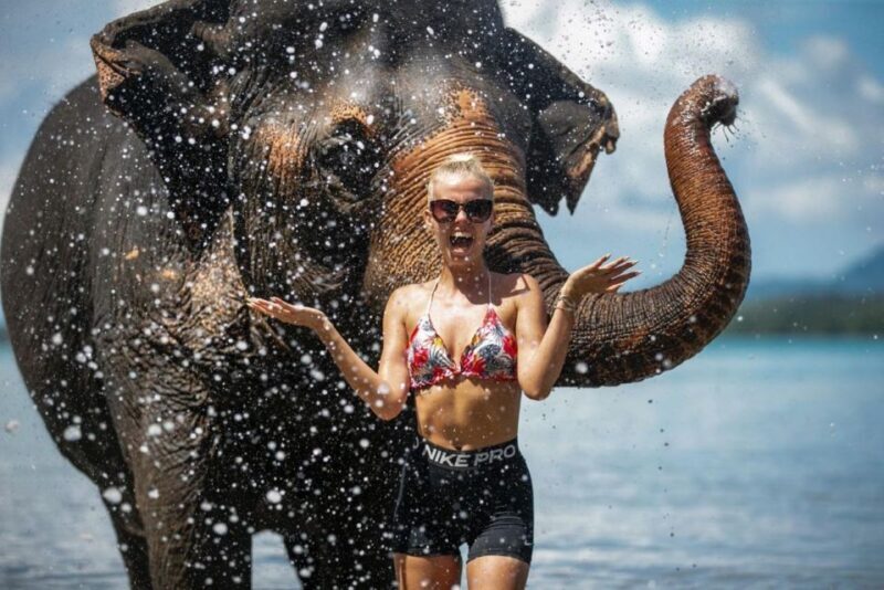 Phuket:Beach walk with elephants, rain & care. 2.5 hours - Additional Information