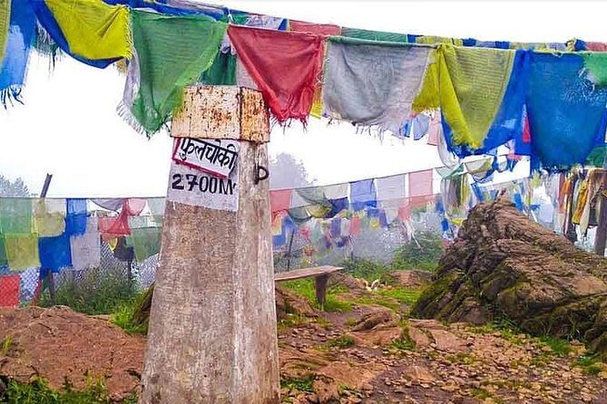 Phulchowki day hiking - An Immersive Day in Nature and Culture