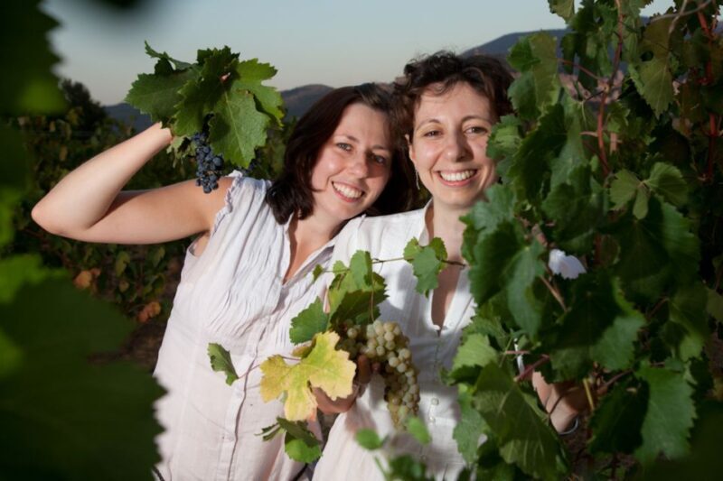 Pic nic Deluxe Assisi and wine tasting 5 wines - Key Points