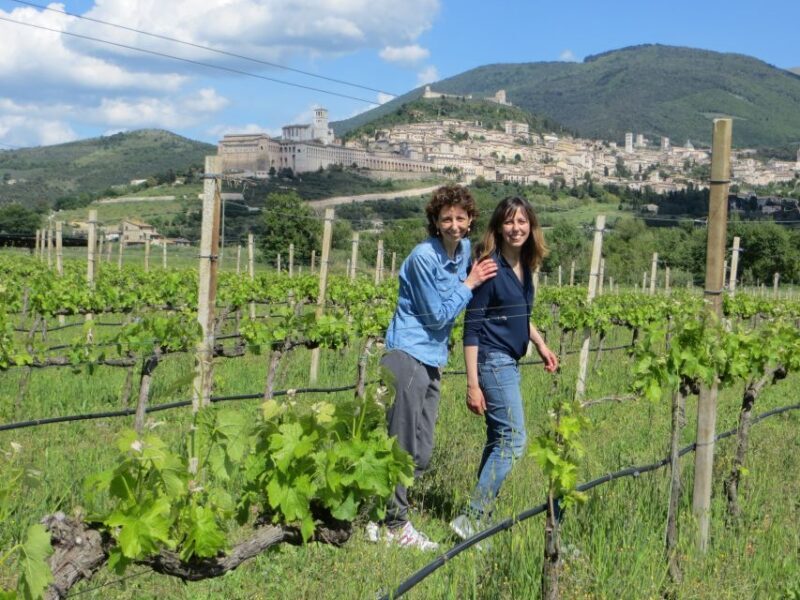 Pic nic Deluxe Assisi and wine tasting 5 wines - The Picnic Lunch