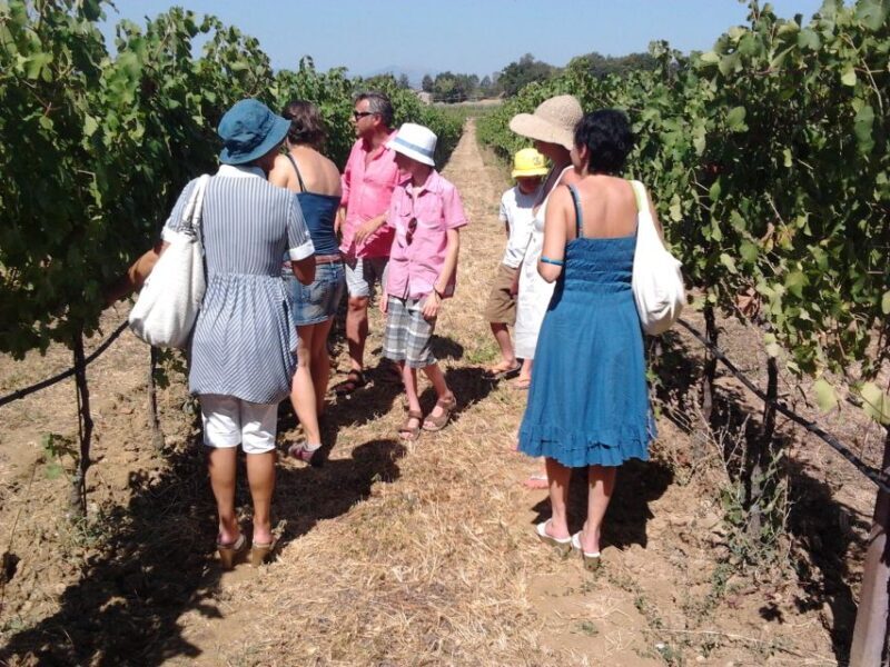 Pic nic Deluxe Assisi and wine tasting 5 wines - The Experience’s Strengths and Considerations