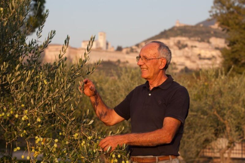 Pic nic Deluxe Assisi and wine tasting 5 wines - Who Will Enjoy This Tour?