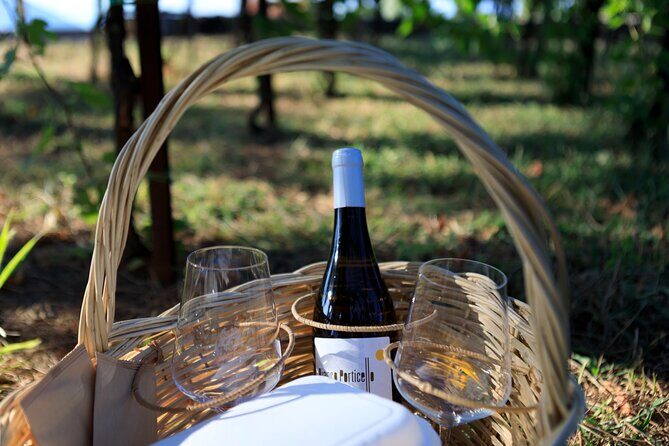 Pic-nic in the vineyard - Key Points