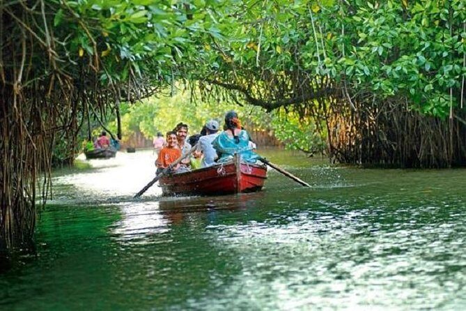 Pichavaram Mangrove & Nataraja Temple Chidambaram from Pondicherry with lunch - Introduction