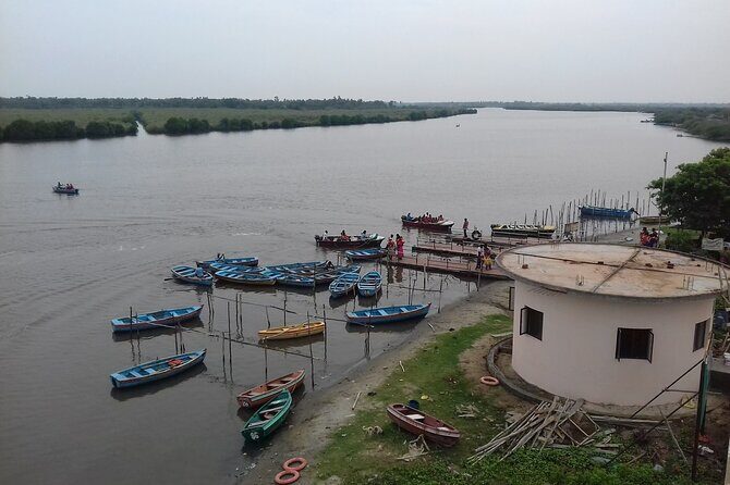 Pichavaram Mangrove & Nataraja Temple Chidambaram from Pondicherry with lunch - The Lunch Break