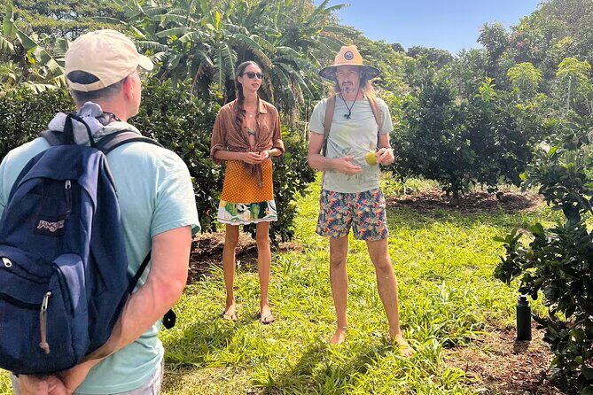 Pick and Taste Tropical Fruit - Key Points
