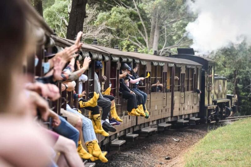 Pick Up from City | Steam Train and Penguin Parade Day Tour - Key Points