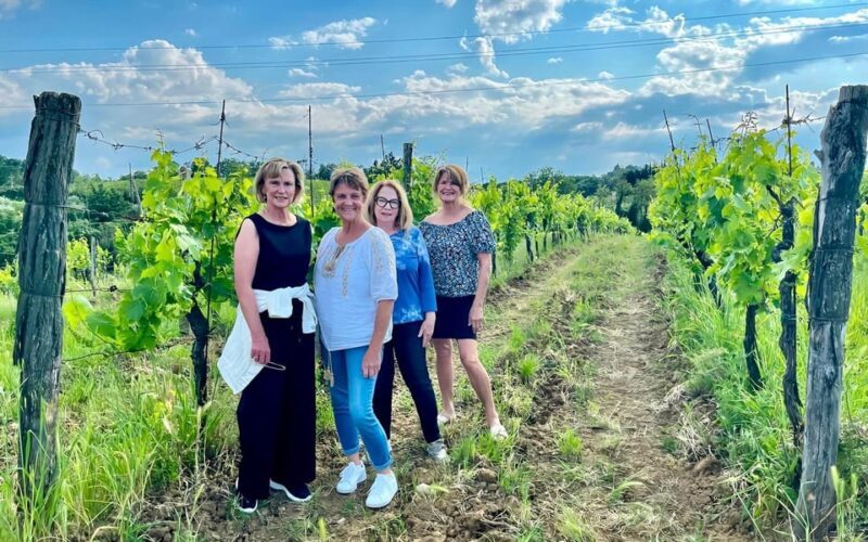 Pick Vegetables at the farm & Cook pasta - FAQ