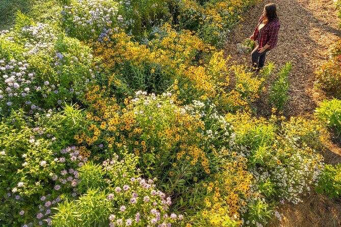 Pick Your Own Flowers on the Farm - What You Can Expect from the Experience