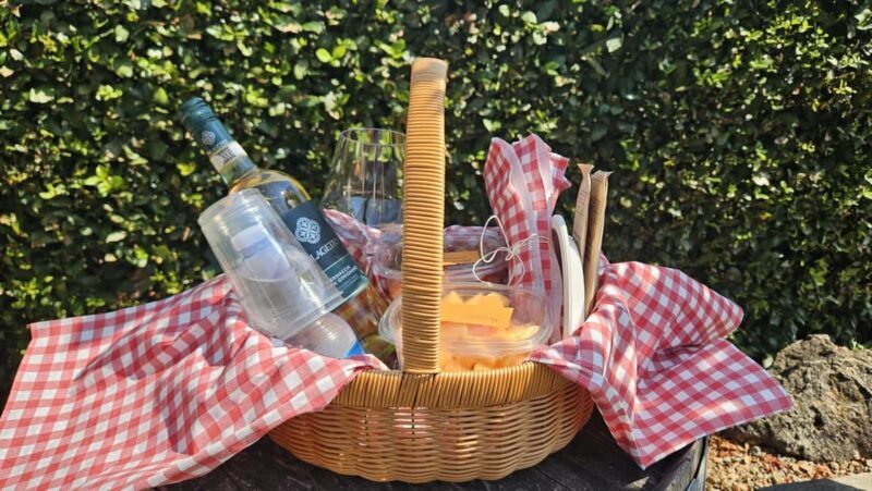 Picnic among the rows of Vernaccia di San Gimignano - Final Thoughts