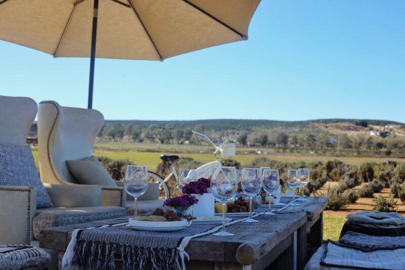 Picnic and drinks in Lavender Fields at Aires de Lavanda - The Atmosphere and Experience Quality