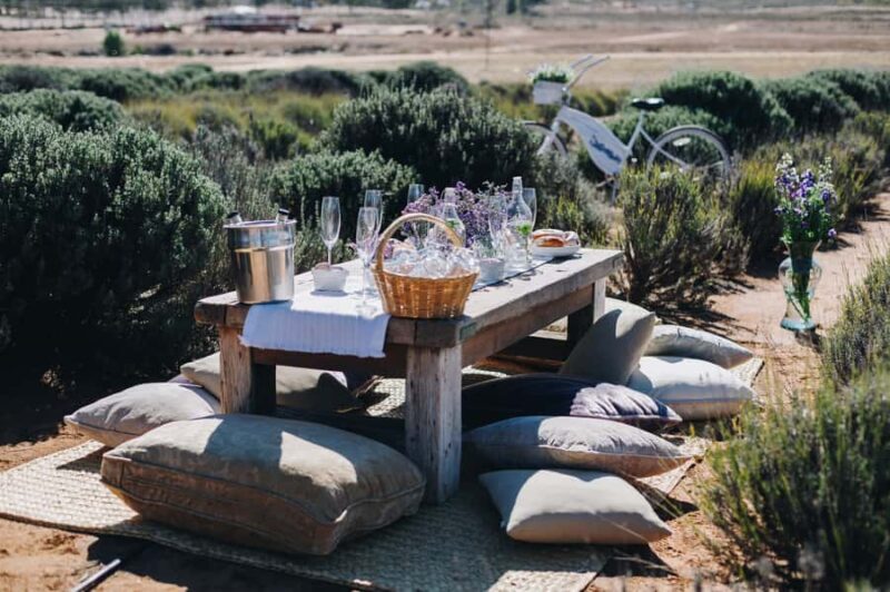 Picnic and drinks in Lavender Fields at Aires de Lavanda - The Sum Up