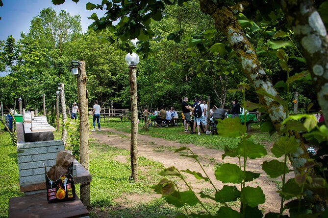 Picnic Area with Barbecue Equipment in Capranica (VT) - Key Points