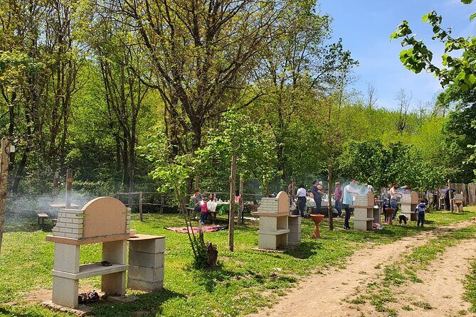 Picnic Area with Barbecue Equipment in Capranica (VT) - Authentic Reviews and Guest Perspectives