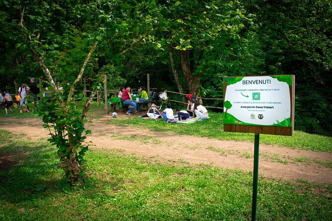 Picnic Area with Barbecue Equipment in Capranica (VT) - The Sum Up