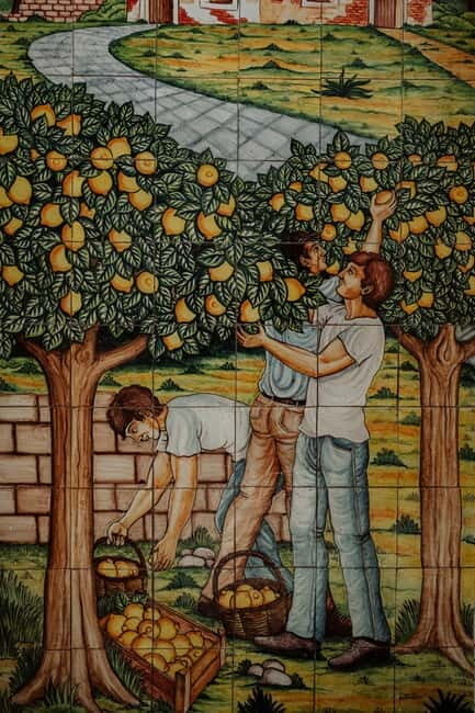 Picnic at the Estates - An Overview of What You Can Expect