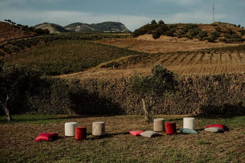 Picnic at the Estates - Who Will Love This Experience?