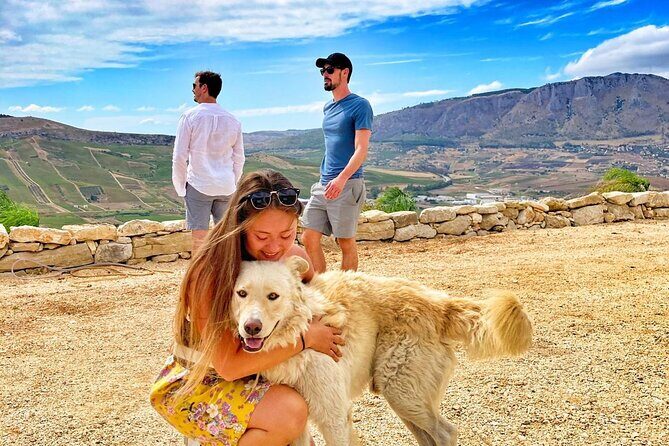 Picnic in an organic winery in Alcamo - FAQ
