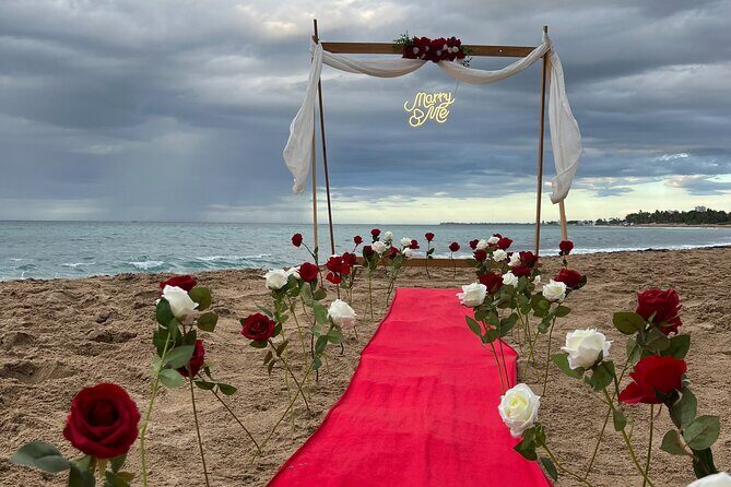 Picnic in San Juan Puerto Rico - How the Picnic Stands Out