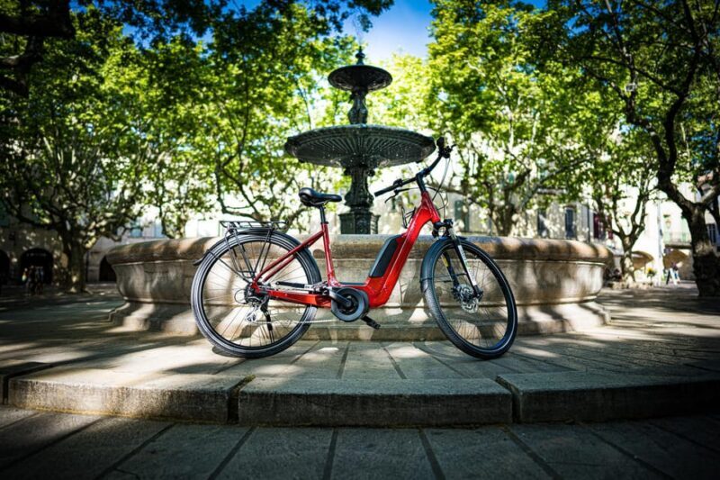 Picnic in the middle of olive groves by e-bike - Discover the Beauty of Provence on an E-Bike Picnic Tour