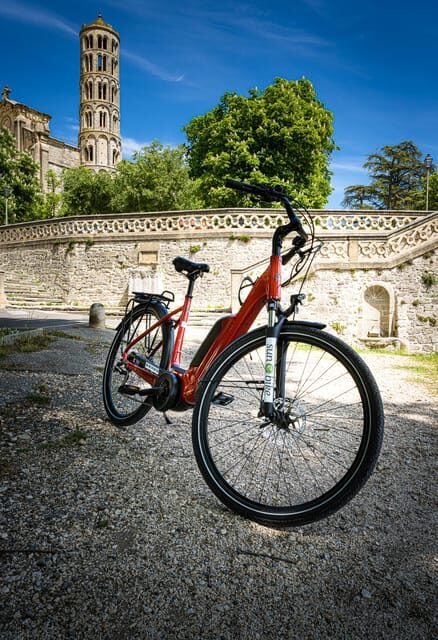 Picnic in the middle of olive groves by e-bike - Key Points