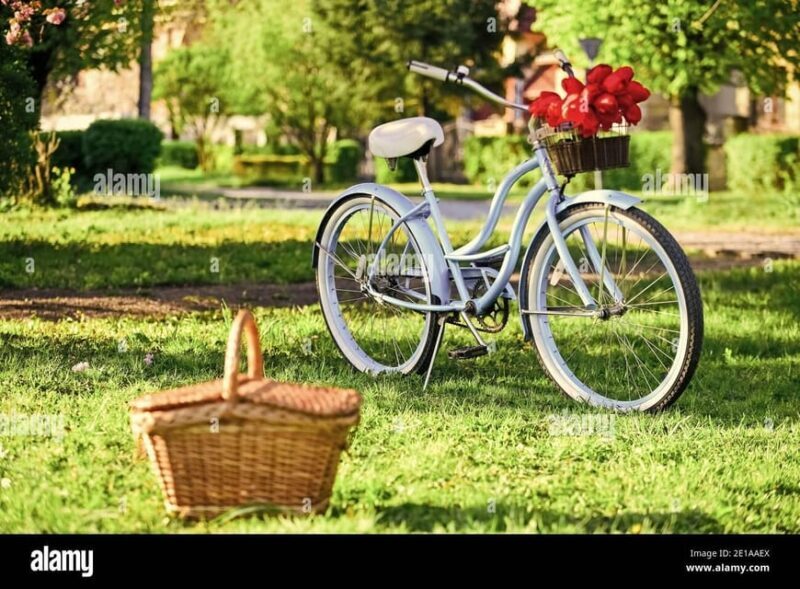 Picnic in the middle of olive groves by e-bike - FAQ