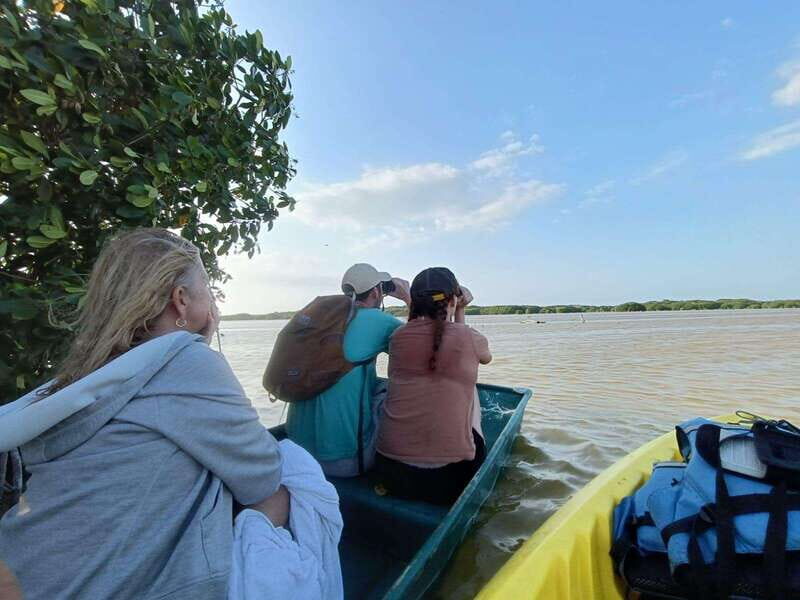 PICNIC ON A SANDBANK + KAYAK ADVENTURE FROM SISAL PUERTO - Key Points