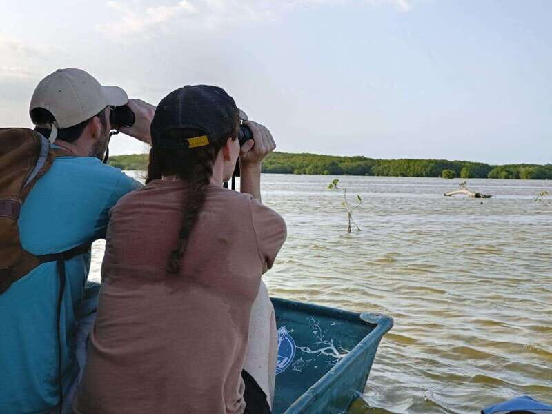 PICNIC ON A SANDBANK + KAYAK ADVENTURE FROM SISAL PUERTO - Exploring the Sandbank and Its Surroundings