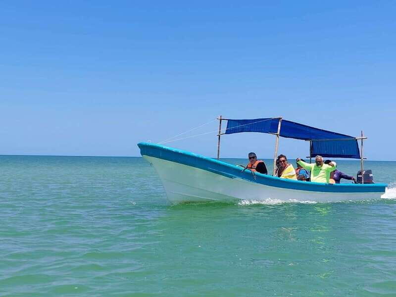 PICNIC ON A SANDBANK + KAYAK ADVENTURE FROM SISAL PUERTO - Weather and Safety Considerations