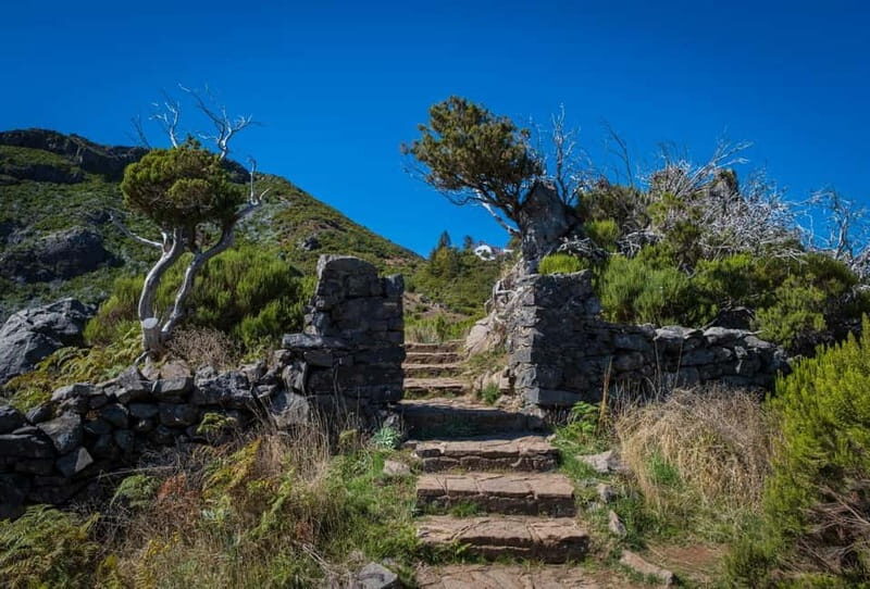 Pico Areeiro to Pico Ruivo Madeira Island Walk - Final Thoughts: The Value of a Mountain Adventure