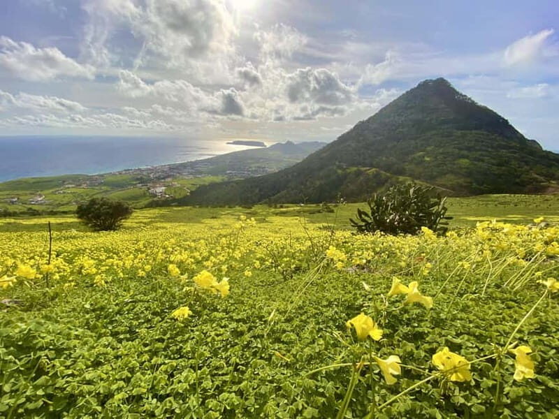 Pico Castelo & Pico Facho Vereda: Walk with Spectacular View - Key Points