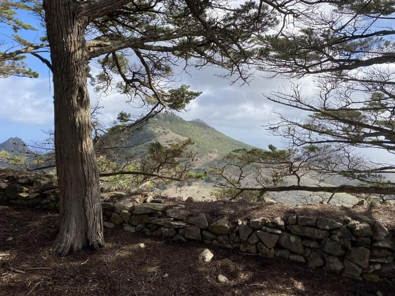 Pico Castelo & Pico Facho Vereda: Walk with Spectacular View - Value for Money
