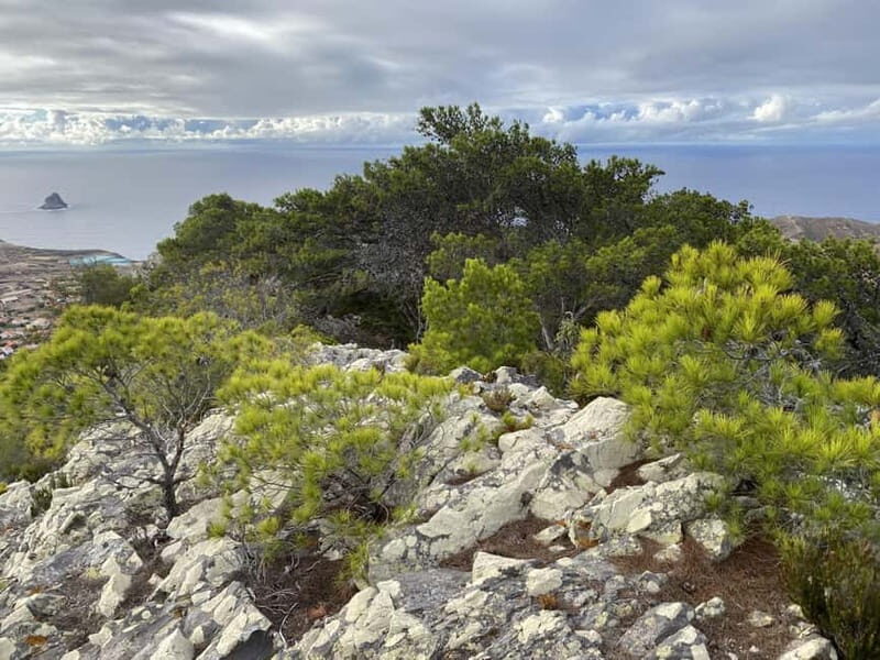 Pico Castelo & Pico Facho Vereda: Walk with Spectacular View - The Sum Up