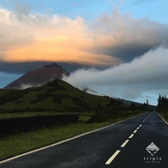 Pico Day Tour: Get to know Pico Island with a local guide - An In-Depth Look at the Pico Day Tour