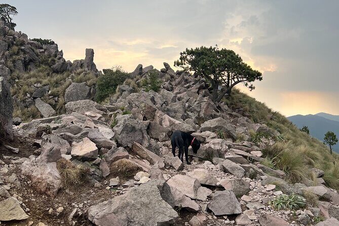 Pico del Aguila 3,880m/ 12,729ft Hike Devils Backbone Summit CDMX - Practical Tips for Participants