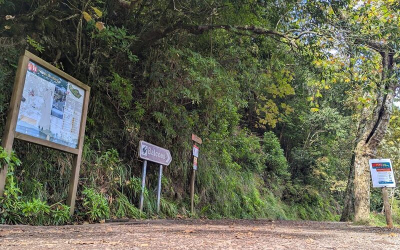 Pico do Arieiro in 4h: Immersive Private Experience (Cabrio) - A Close Look at the Experience