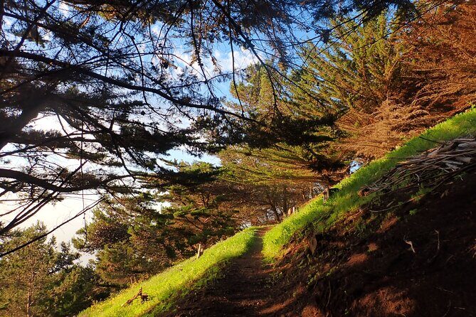 Pico do Facho Panoramic Trail - Guided Experience and Practical Aspects