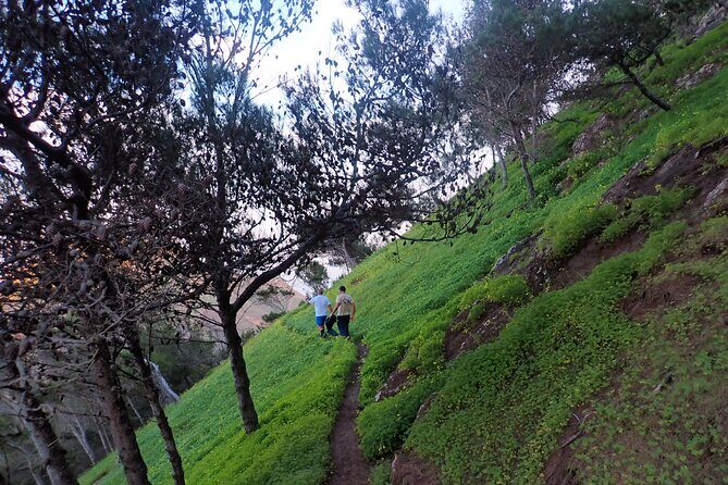 Pico do Facho Panoramic Trail - The Upfront and the Unexpected: Booking and Reviews