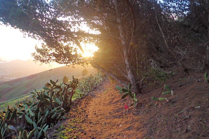 Pico do Facho Panoramic Trail - Visualize the Experience