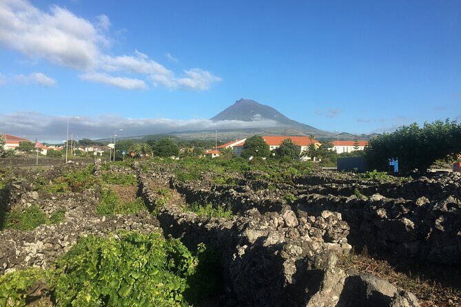 Pico Girl Power Wine Tasting and Cultural Experience - Practical Tips for Travelers