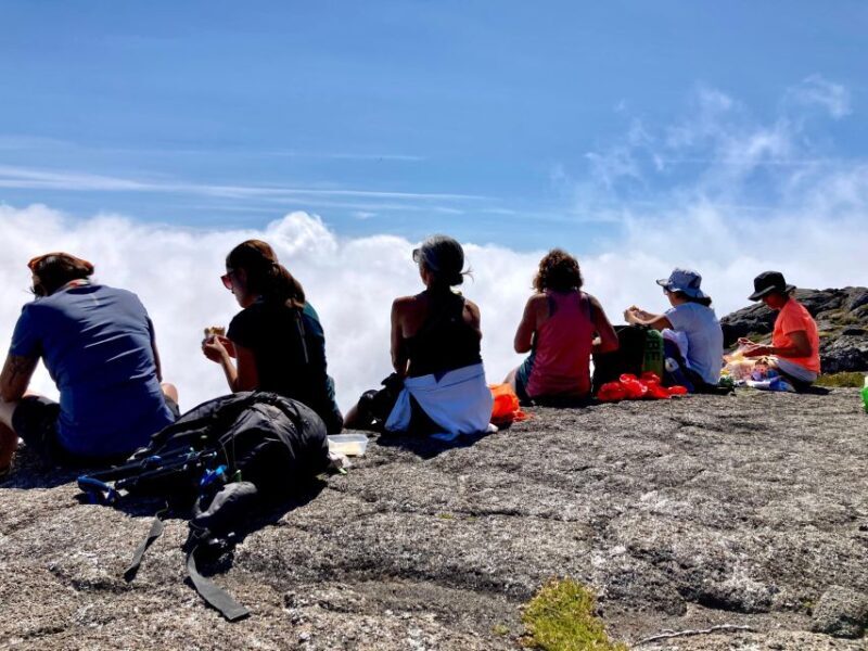 Pico island: Climb Mount Pico, highest mountain in Portugal - Authentic Experiences and Reviews