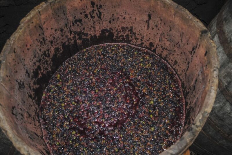 Pico Island: Full Day Wine Culture Tour - Key Points