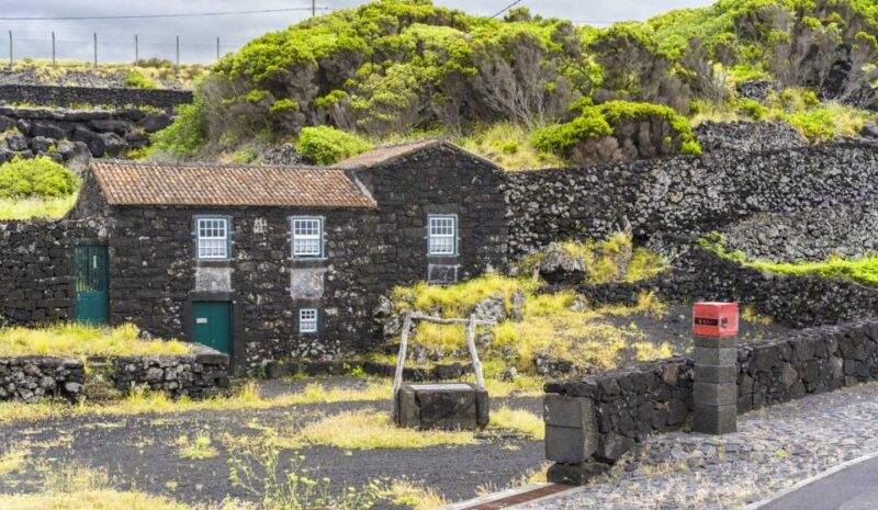 Pico Island: Full Day Wine Culture Tour - The Sum Up