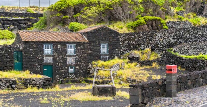 Pico Island: Full Day Wine Culture Tour - Frequently Asked Questions