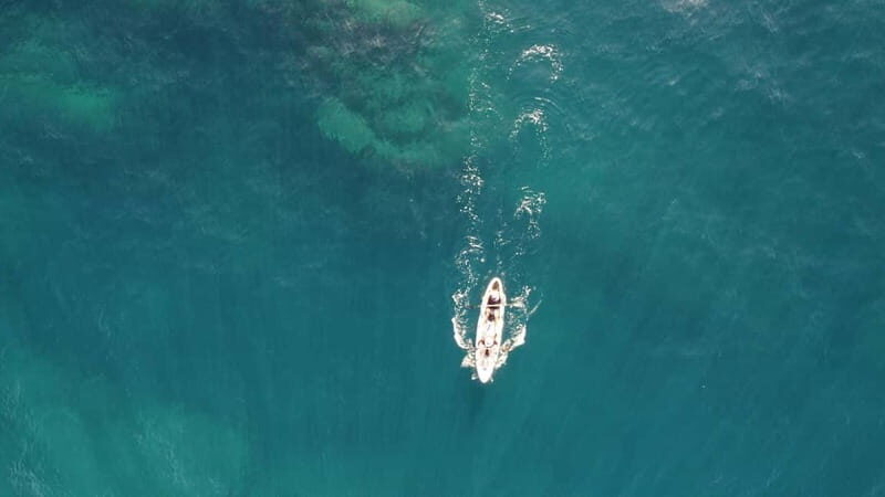Pico island: guided kayak and snorkel tour - A Detailed Look at the Tour Experience